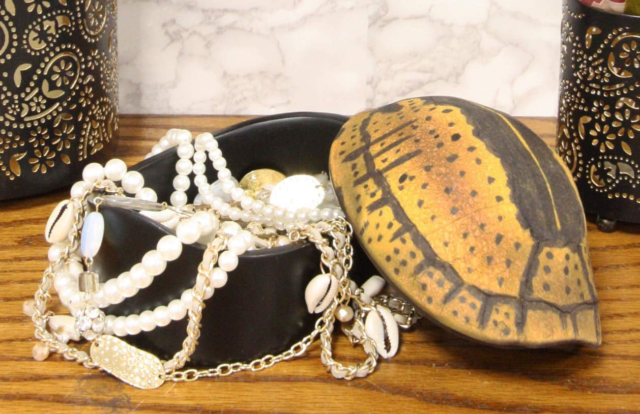 Nautical Reptile Realistic Spotted Tortoise Shell Decorative Box ...