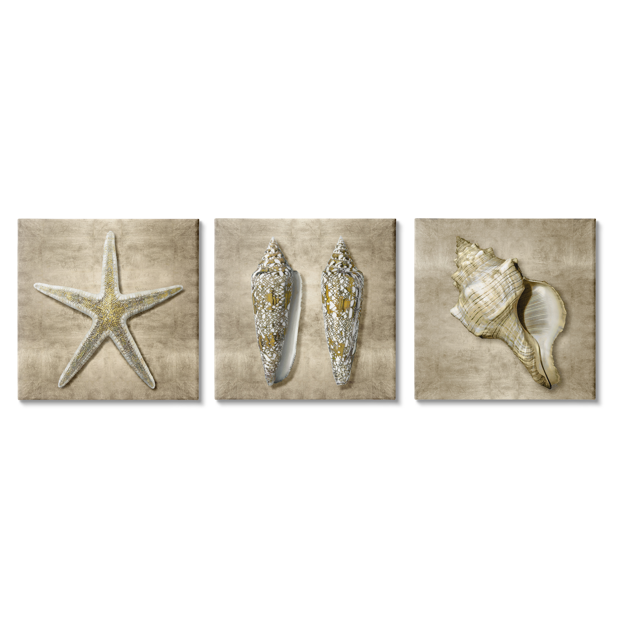 Nautical Shells Beach Starfish Gold Brown Animals & Insects Gallery ...