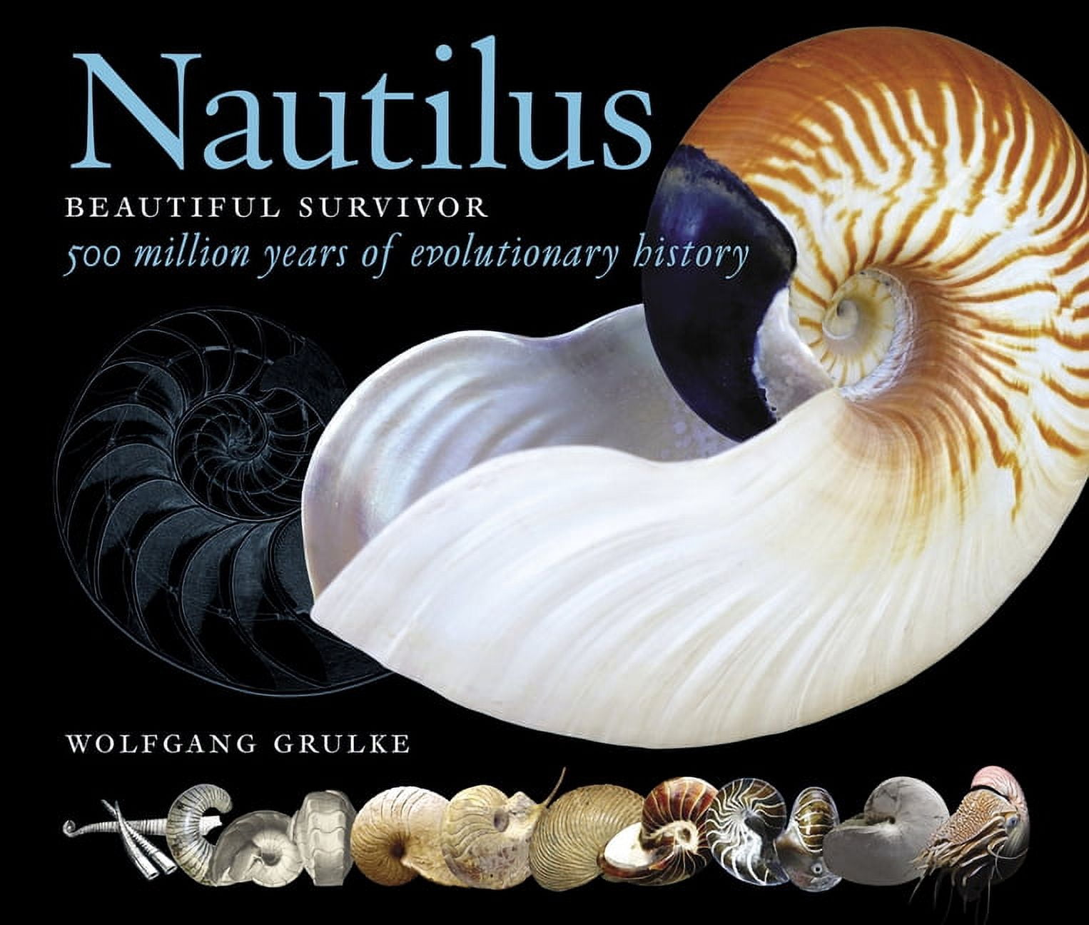 Nautilus: Beautiful Survivor -- 500 Million Years of Evolutionary ...