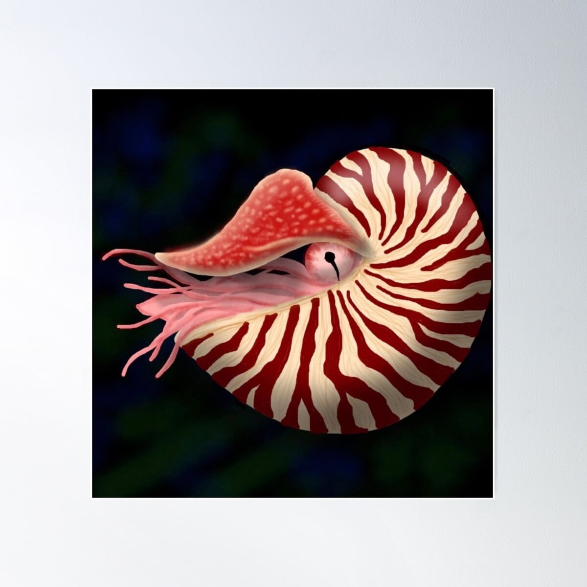 Nautilus Poster Wall Art, Modern Wall Decor For Living Room Bedroom ...