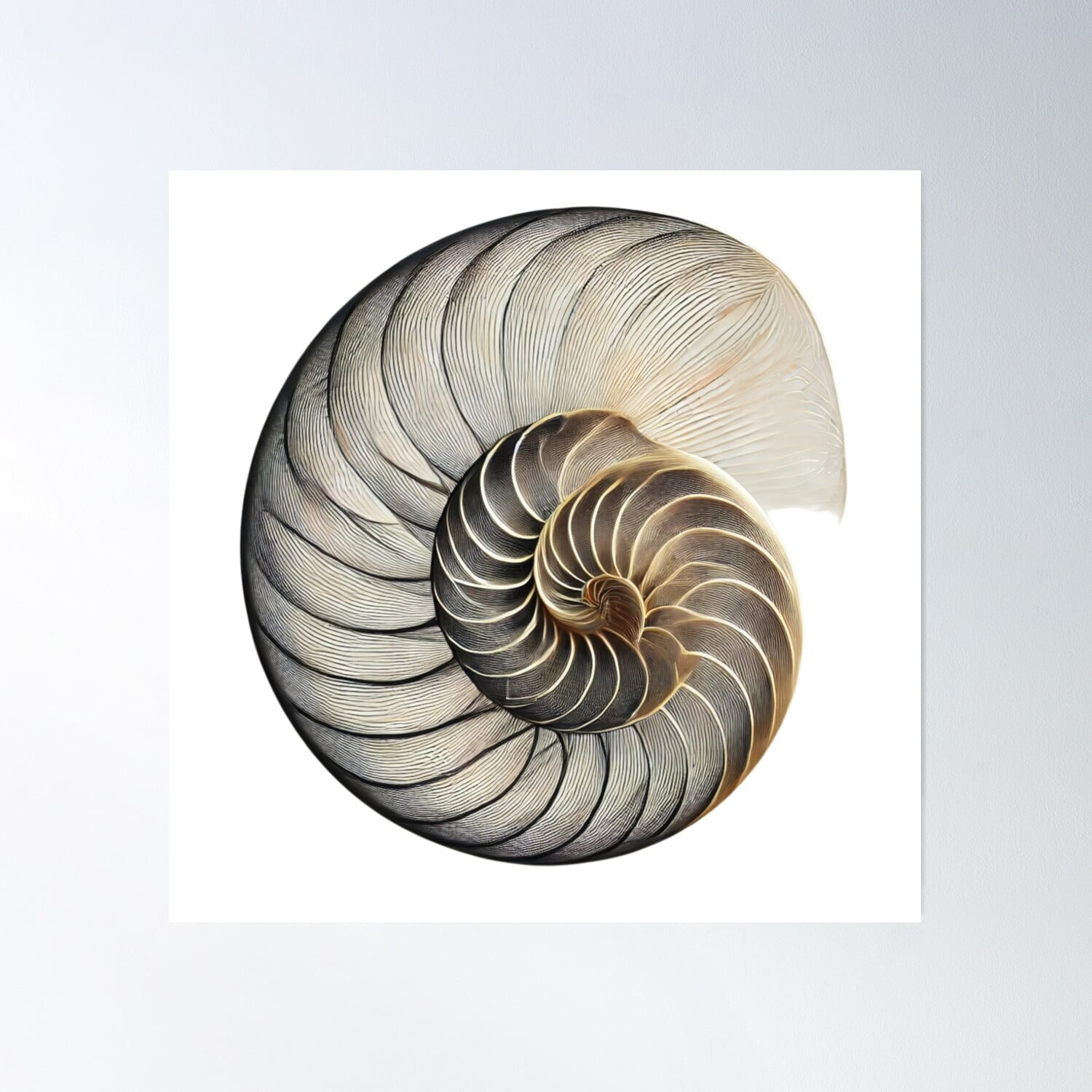 Nautilus Shell Art — Elegant Geometric Nature Design In Neutral Tones ...