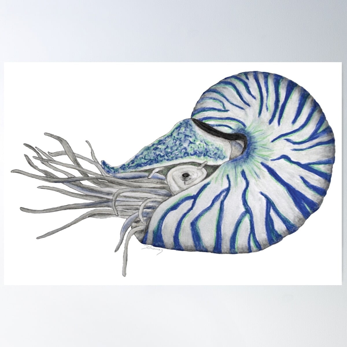 Nautilus Version 1 Poster Wall Art, Modern Wall Decor For Living Room ...