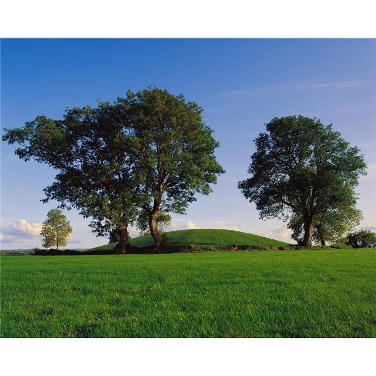 Navan Fort Co Armagh Ireland Ancient Capital of Ulster & Significant ...