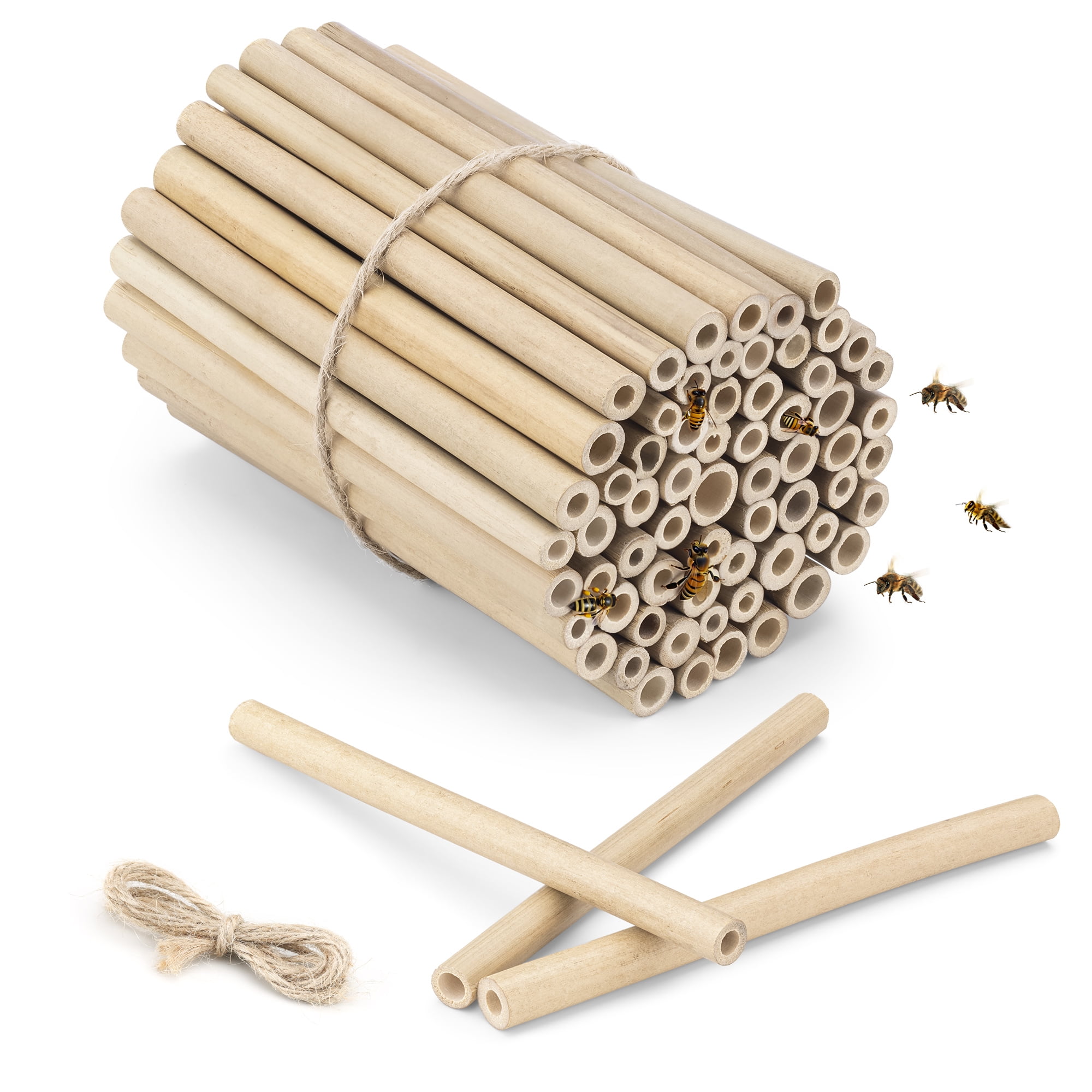 Navaris Bamboo Bee Nesting Tubes (Pack of 60) - 15 cm (5.9 in) Long ...