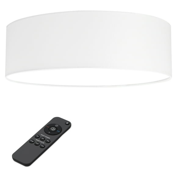 Remote Controlled Ceiling Light Fixture