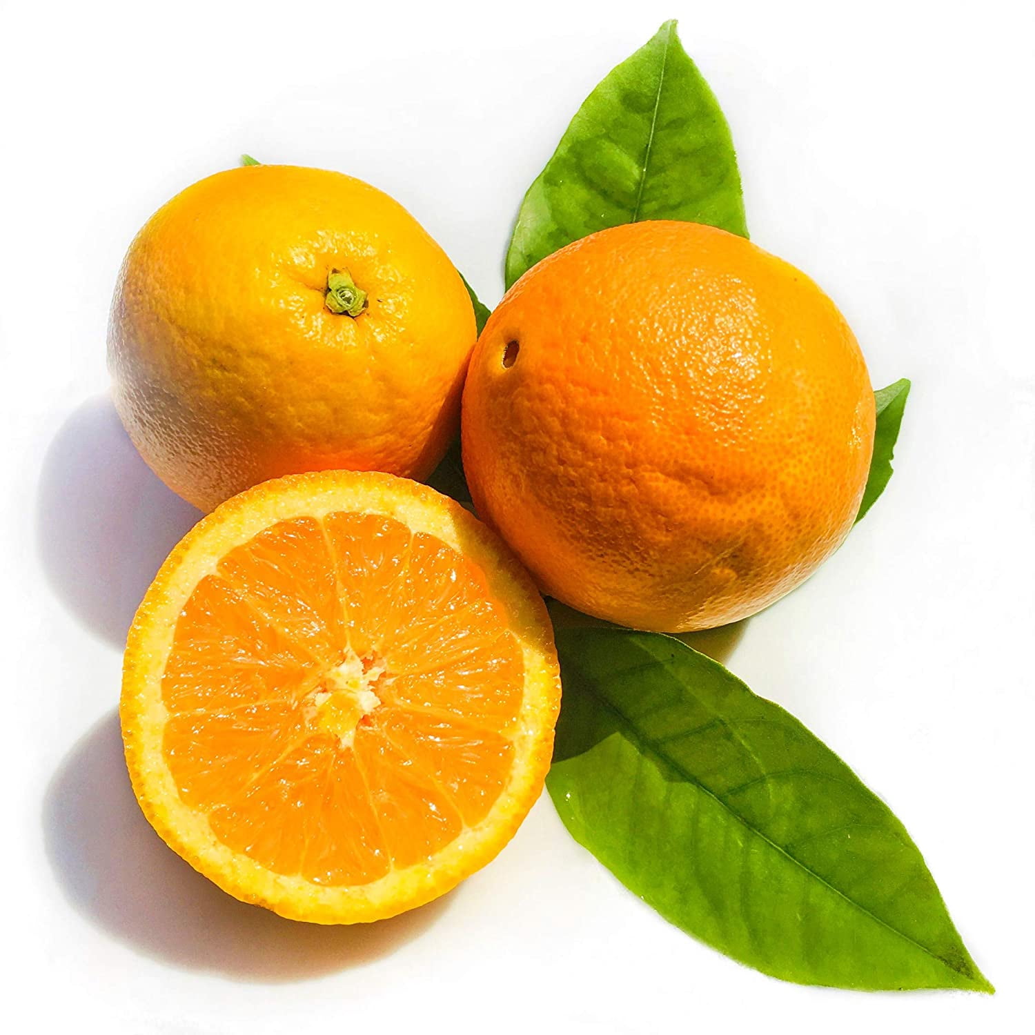 Navel Oranges - 10 LBS (about 15 counts) - Walmart.com