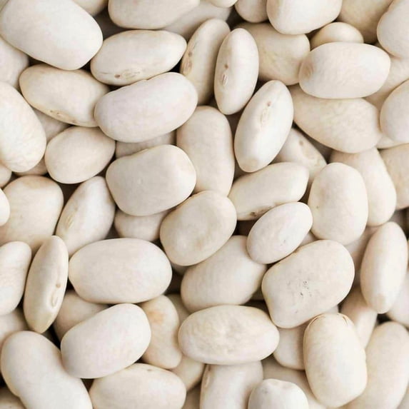 Navy Bean (White Bean) Non_GMO (1LB) - Walmart.com