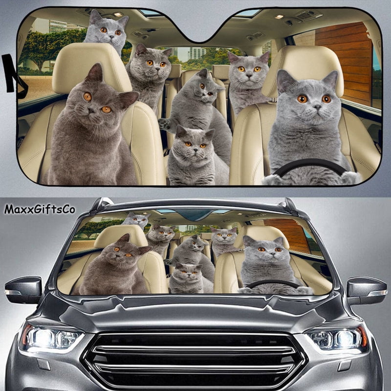 Navy Blue-YOSA Car Sun Shade Windshield Bengal Cat Driver, Shocked ...
