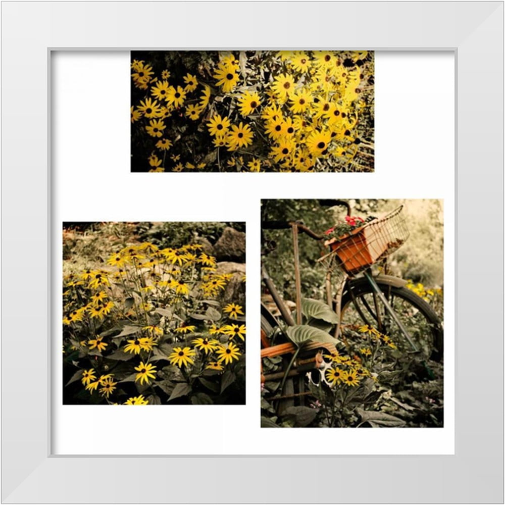 Nawrocke, Bruce 20x20 White Modern Wood Framed Museum Art Print Titled ...