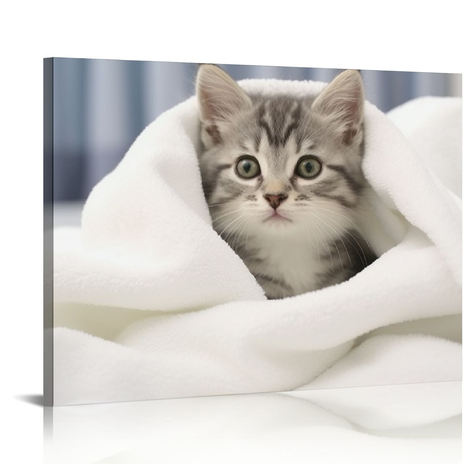 Nawypu AMERICAN SHORTHAIR KITTEN Animal Poster - Poster Print Art ...