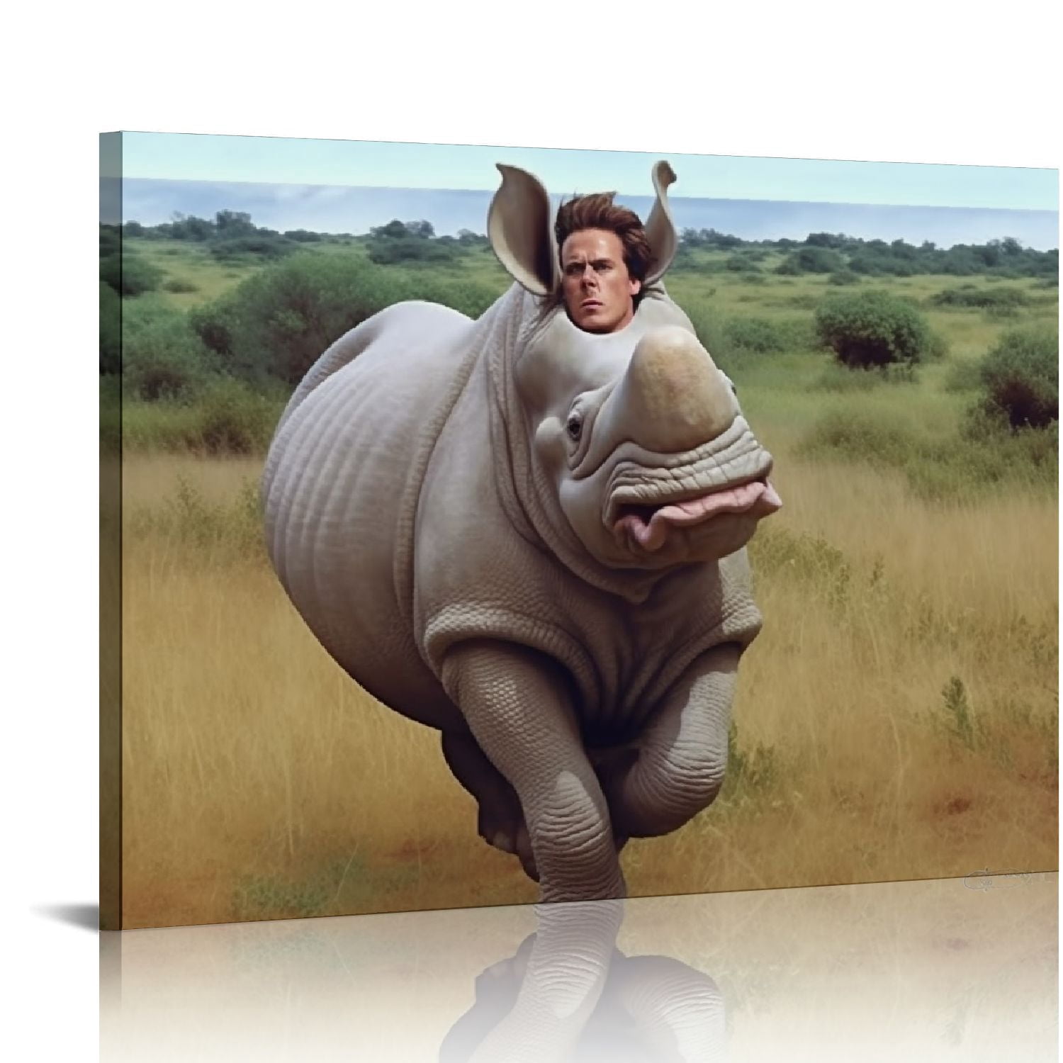 Nawypu Ace Ventura Rhino Movie Poster Jim Carrey Poster Funny Movie ...