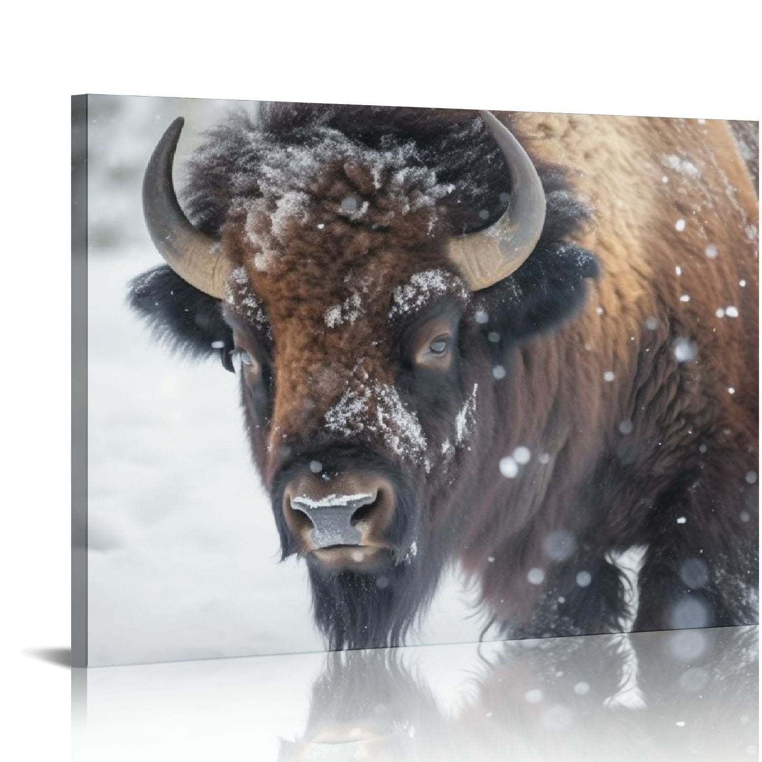 Nawypu American Bison Or Buffalo Resting in A Snow Storm Canvas Wall ...