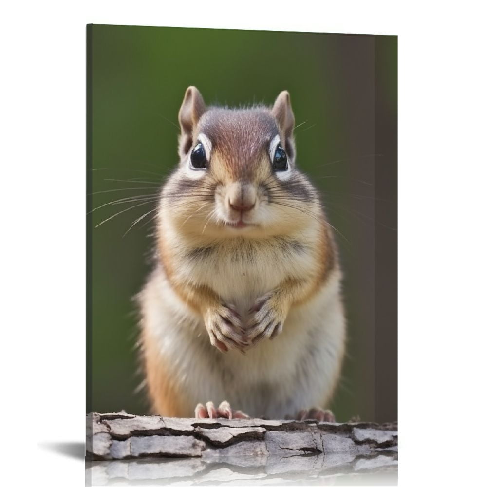 Nawypu Animal Cute Chipmunk Room Aesthetics Posters Canvas Posters ...