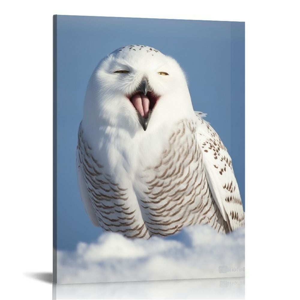 Nawypu Animal Poster Snowy Owl Cute Owl Smiling Bird Canvas Posters ...