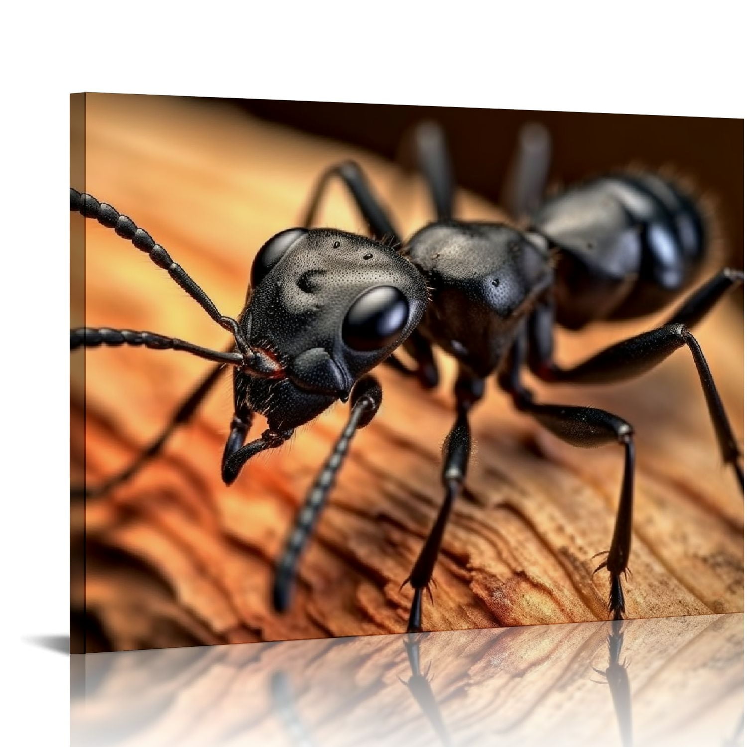 Nawypu Ant Detailed Realistic 9 Canvas Art Home Decor Wall Art Print ...