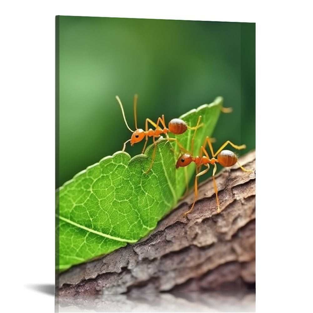 Nawypu Ants Carry Leaves Back Build Nests Canvas Poster Bedroom Decor ...