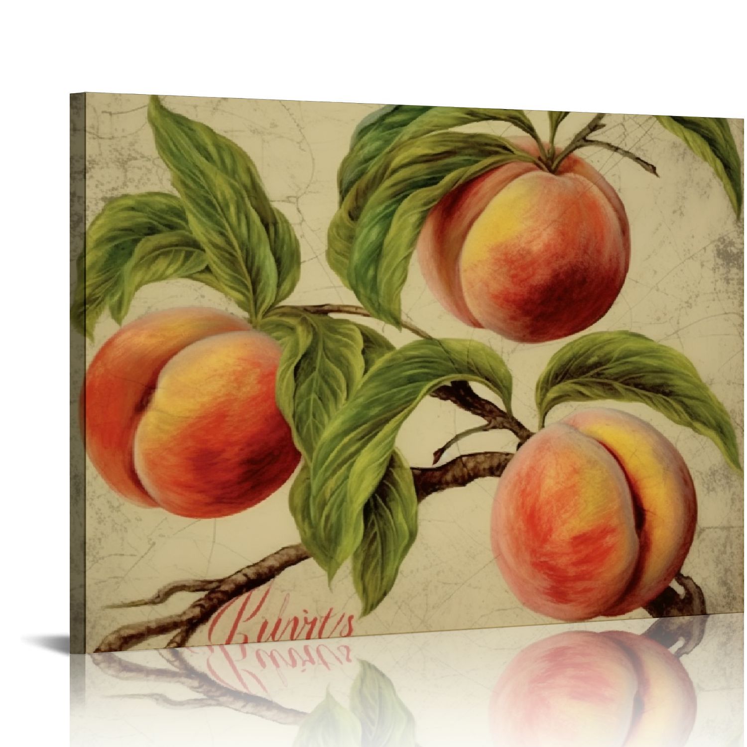 Nawypu Apples Pears Plums Peaches Framed Canvas Prints, Fruit Wall Art ...