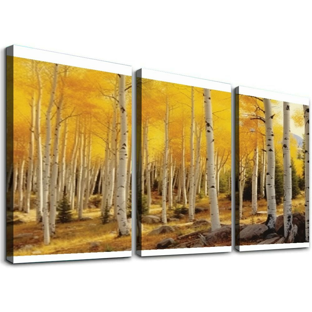 Nawypu Aspen Trees in a Forest, Coconino National Forest, Arizona ...