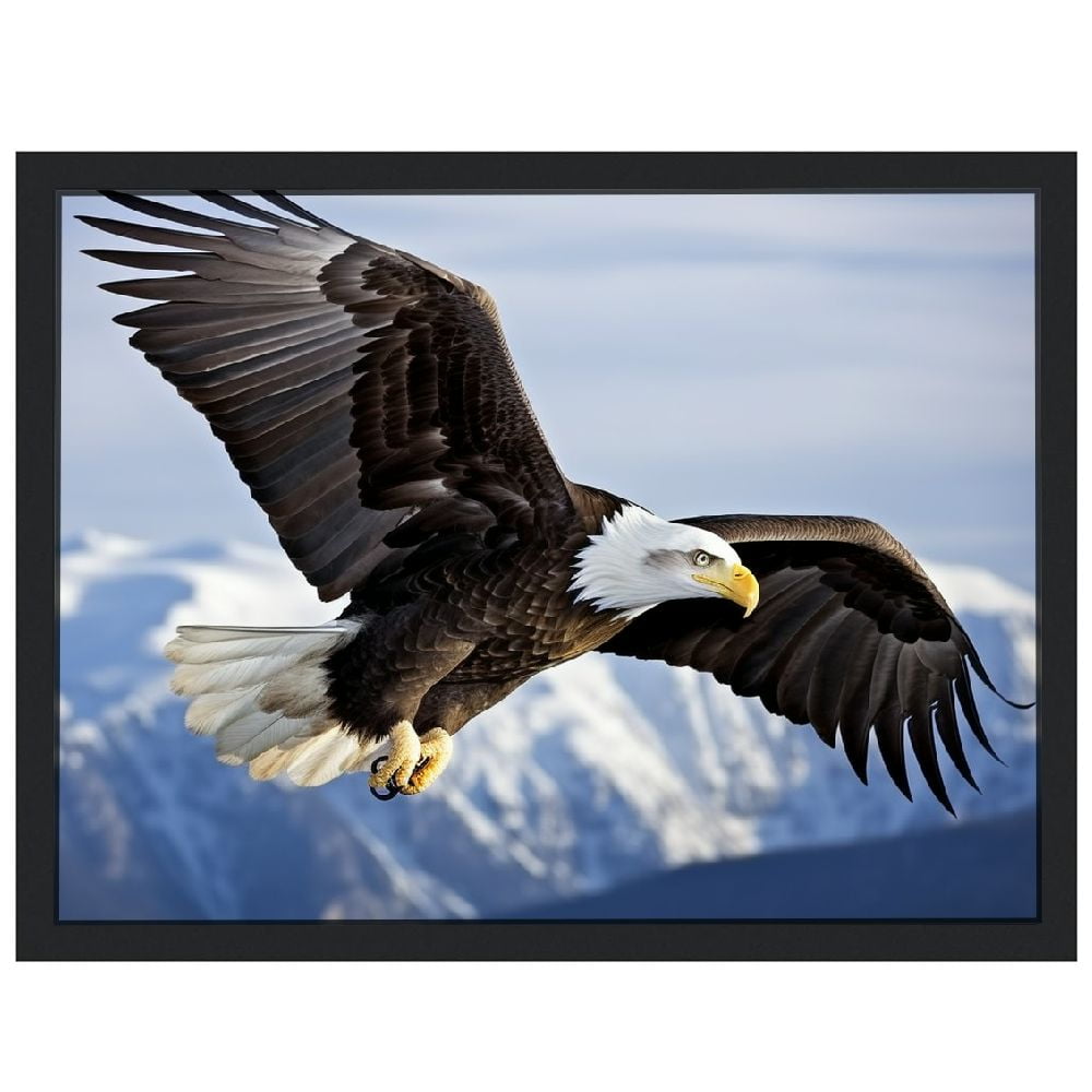 Nawypu Bald Eagle Poster,Flying Bird Wildlife,Canvas Wall Art For ...