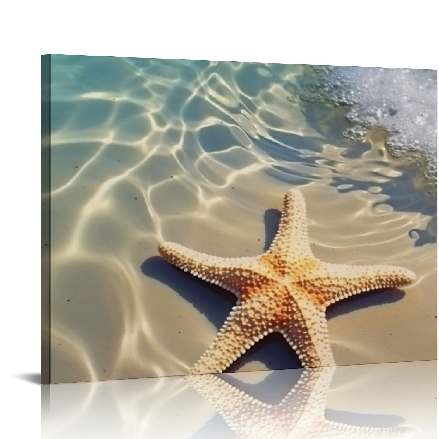 Nawypu Beach Seashell Starfish Wall Art: Blue Ocean Beauties Artwork ...
