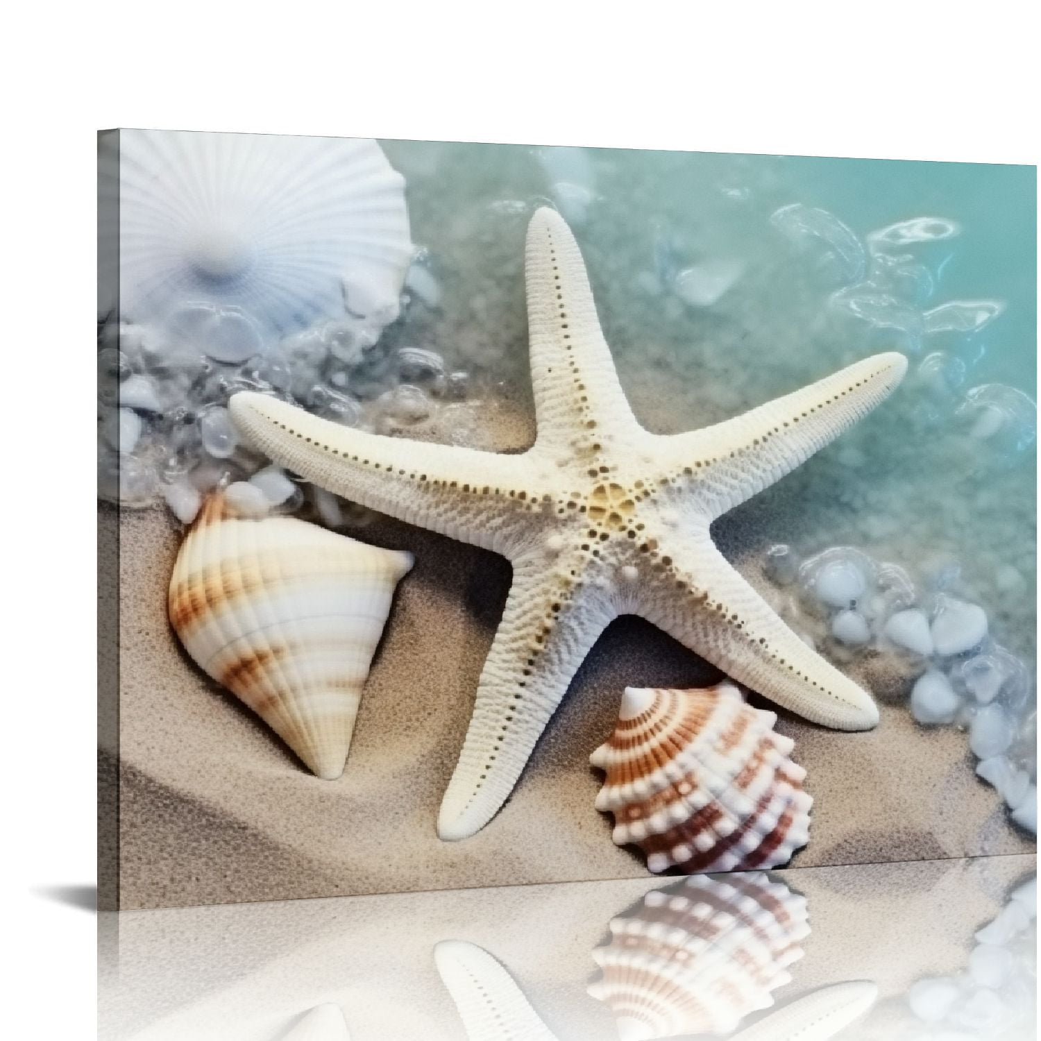Nawypu Beach Starfish Canvas Wall art: Starfish and Conch in the Teal ...