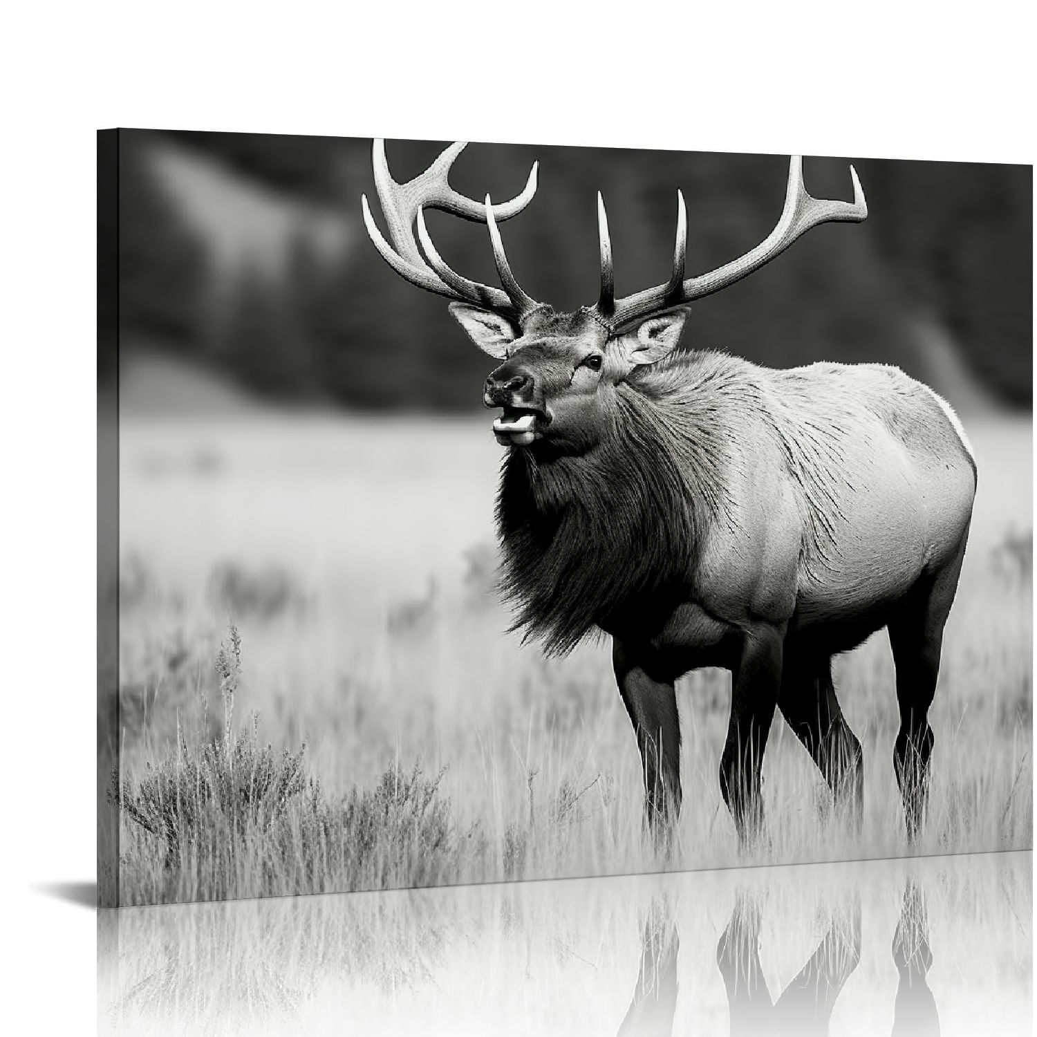 Nawypu Black White Bull Elk Canvas Wall Art Animal Picture Framed Deer ...