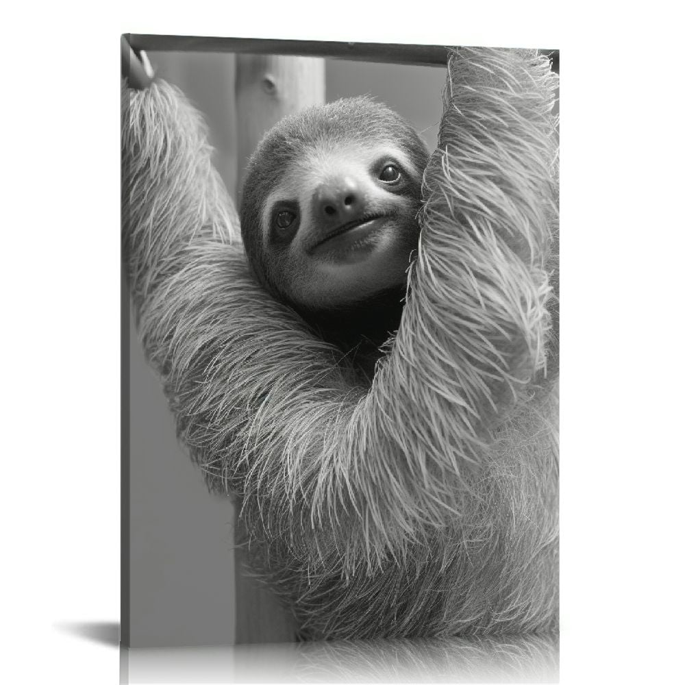 Nawypu Black and White Wall Art Canvas Wildlife Wall Decor Greeting Sloth Pictures on Wall Art ...