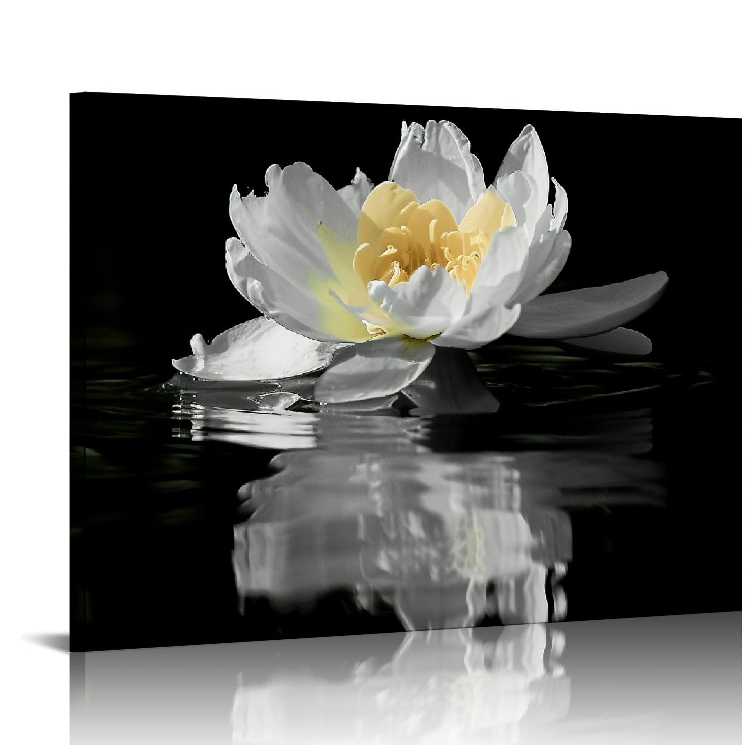 Nawypu Black and White Wall Art for bathroom Lotus Flower Canvas Wall ...