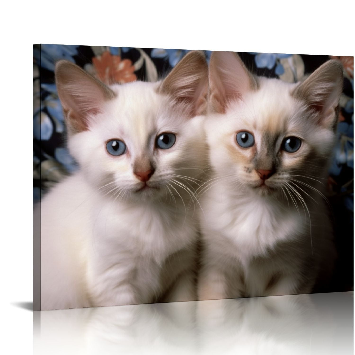 Nawypu CUTE SIAMESE CATS GLOSSY POSTER PICTURE PHOTO White Kittens Pet ...