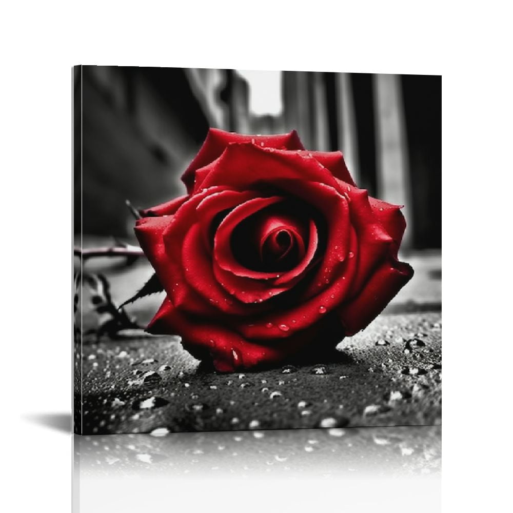 Nawypu Canvas Print Black and White Red Rose Canvas Art Painting ...