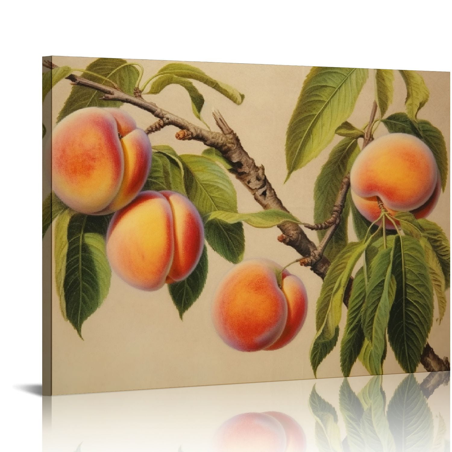 Nawypu Canvas Print Peach Fruit Watercolor Art and Illustrations ...