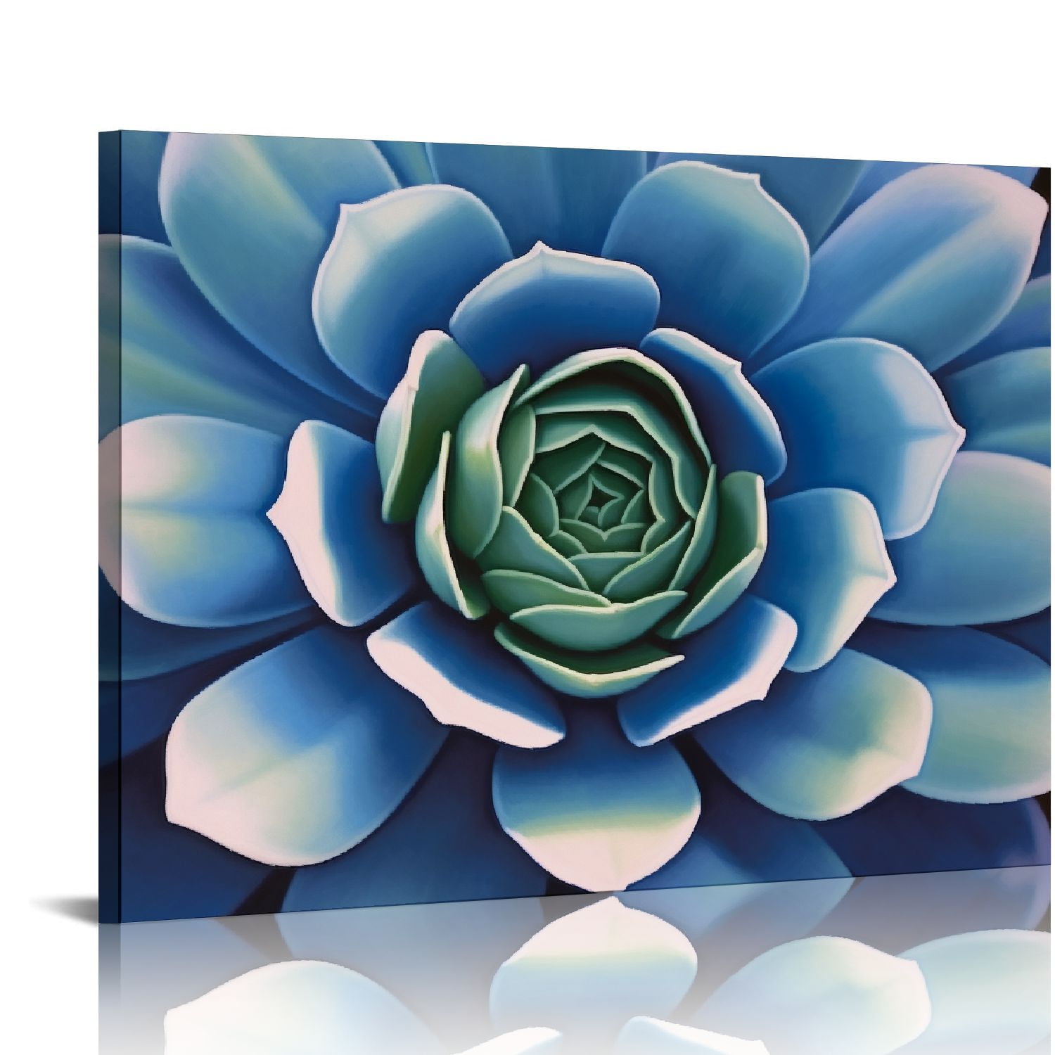 Nawypu Canvas Print Wall Art Blue Purple Desert Echeveria Succulent ...