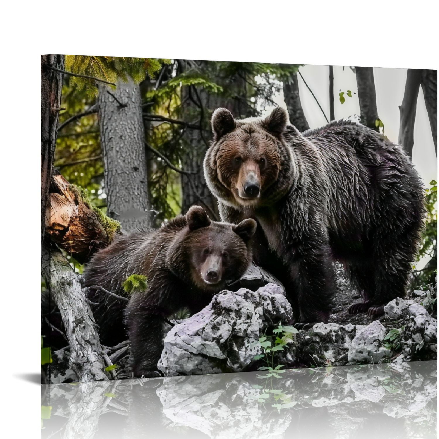Nawypu Canvas Print Wall Art Grizzly Bear Family in the Spring Forest ...
