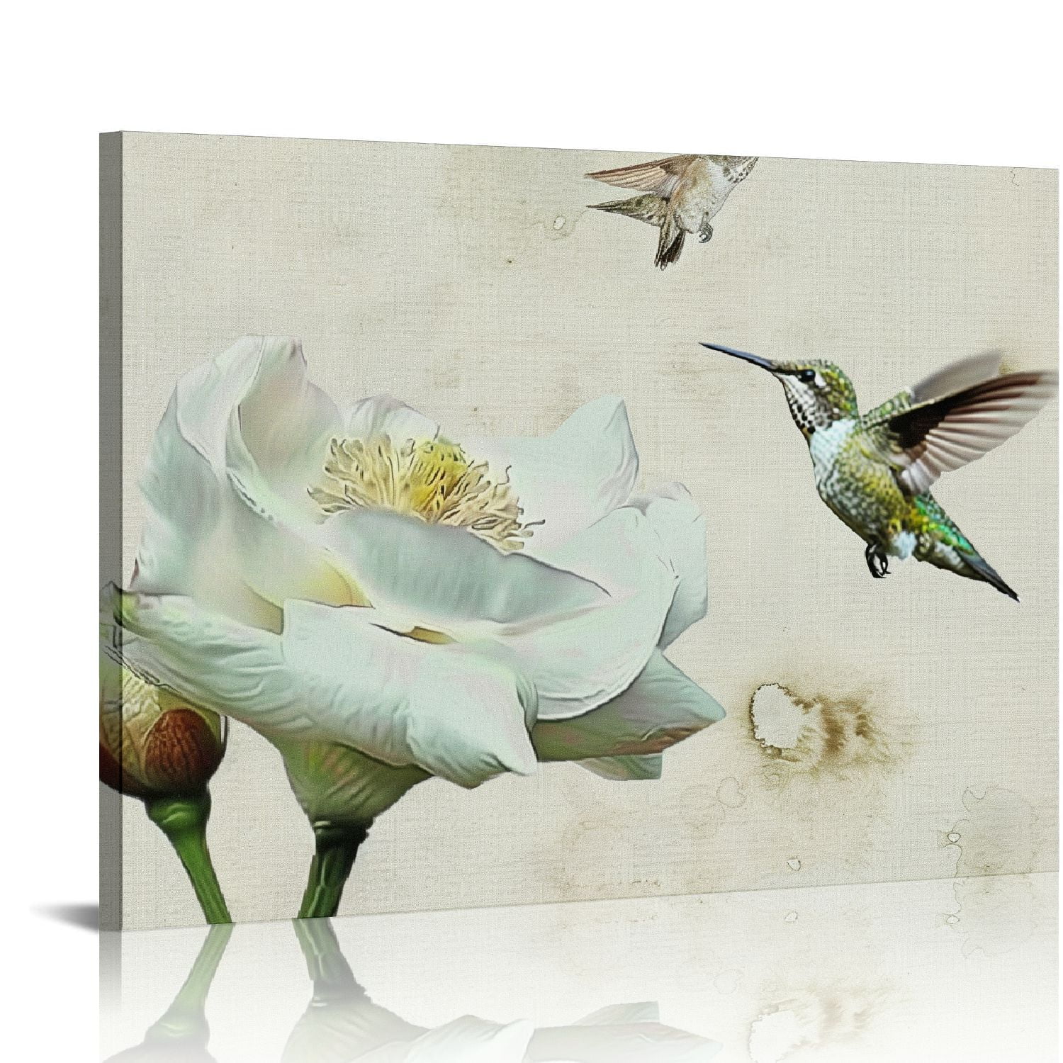 Nawypu Canvas Print Wall Art Hummingbird Flies On White Carnation ...