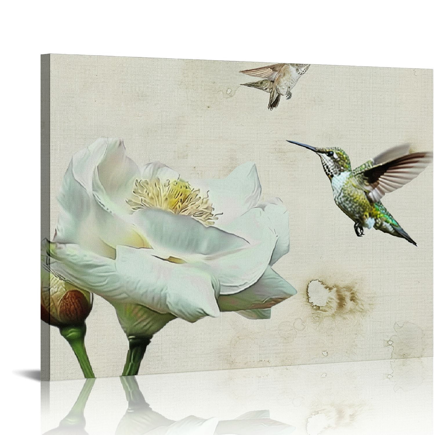 Awypu Canvas Print Wall Art Hummingbird Flies On White Carnation Flower ...