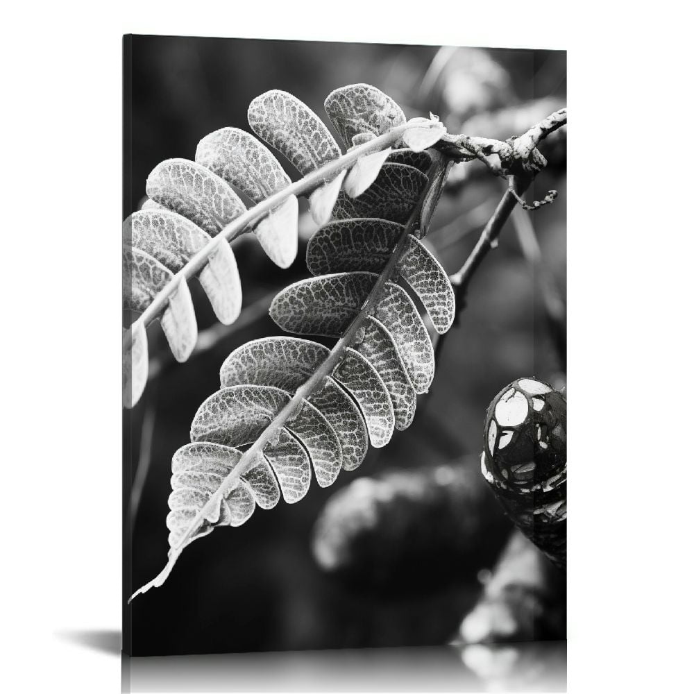 Nawypu Canvas Print Wall Art Set Black & White Marijuana Cannabis Weed ...