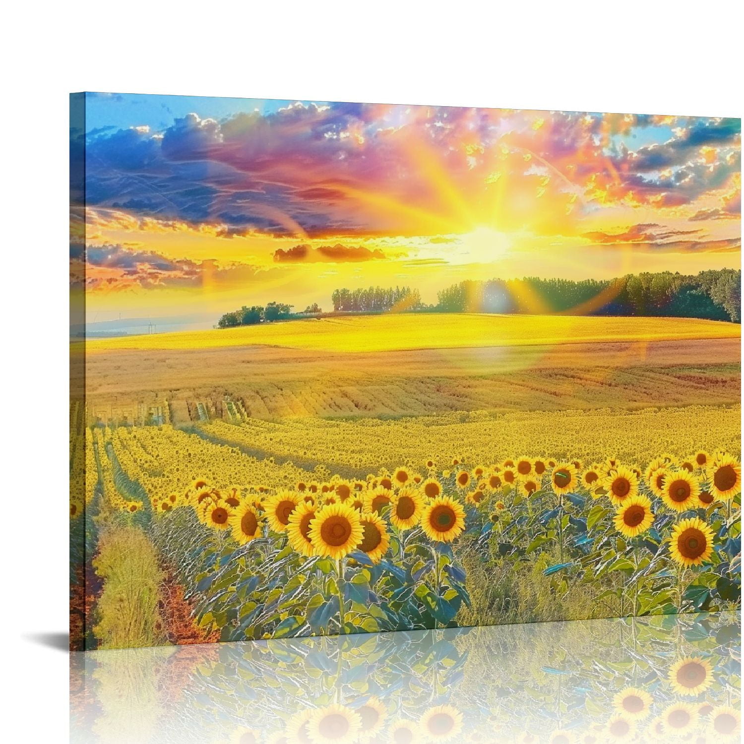 Nawypu Canvas Print Wall Art Sunlight Shines on Sunflower Field Floral ...