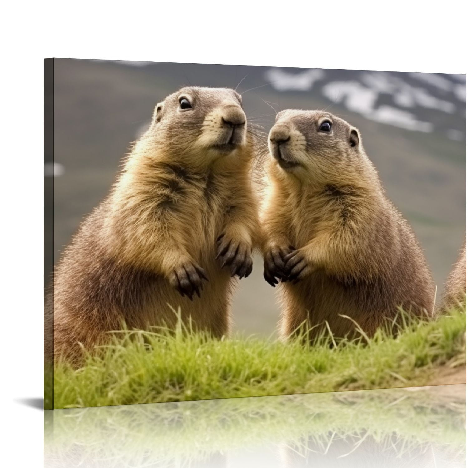 Nawypu Canvas Print Wall Art Two Groundhogs Art Paintings for Wall ...