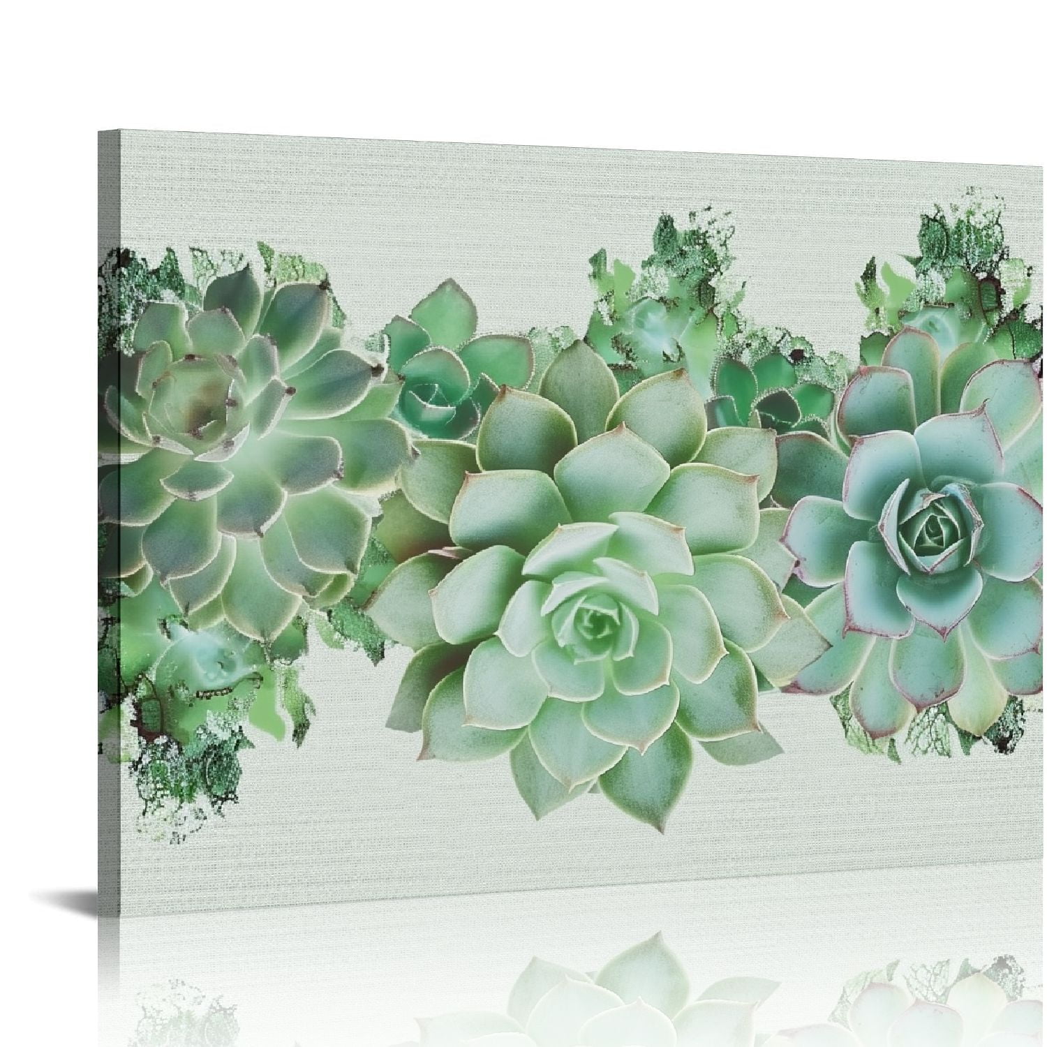 Nawypu Canvas Print Wall Art Variety of Green Desert Succulents Floral ...