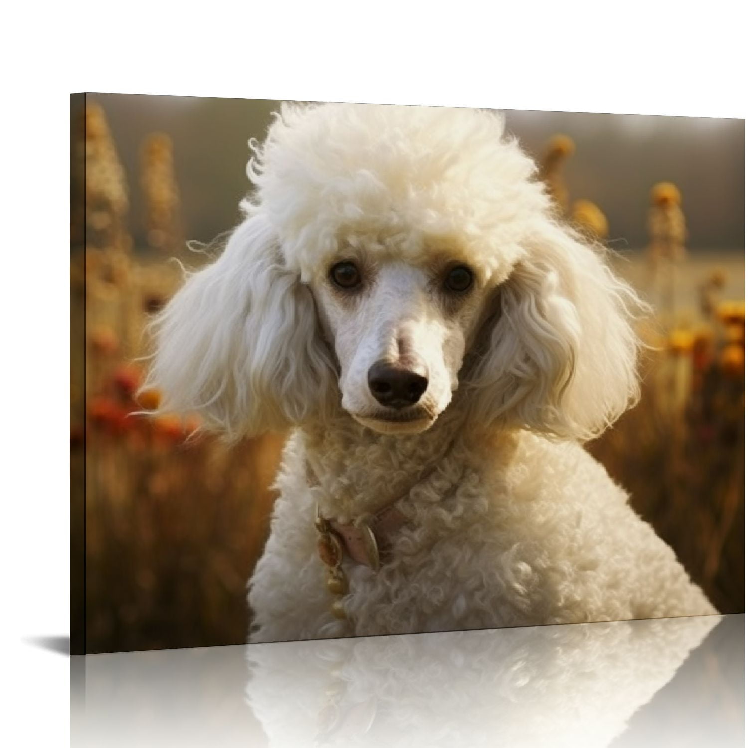 Nawypu Canvas Prints Wall Art Poodle Pictures Posters Animal ...