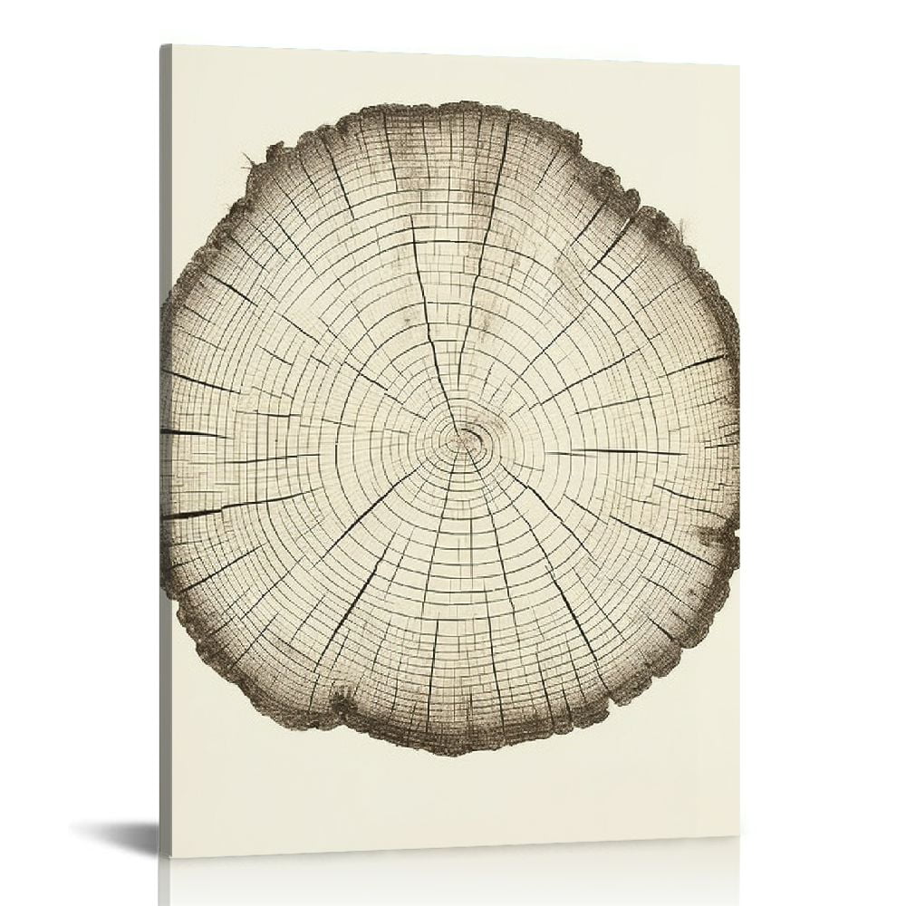 Nawypu Canvas Tree Ring Wall Art, Pastel Gray Artwork, Minimalist Wall ...