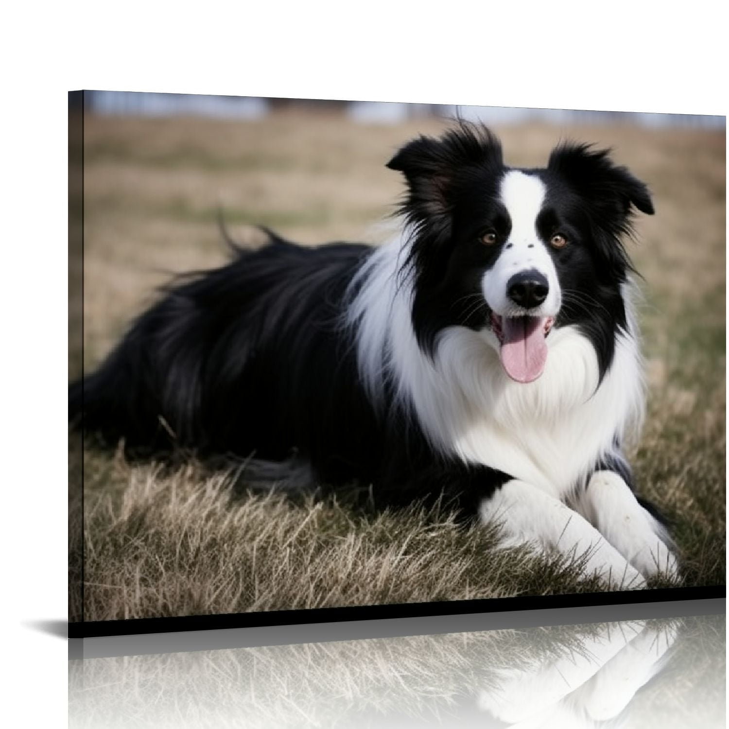 Nawypu Canvas Wall Art Border Collie Dog Pictures Animal Poster Prints ...