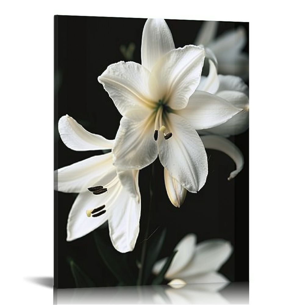 Nawypu Canvas Wall Art Floral Bloom Blossom Close Up Pictures Modern Wall Decoration Black and ...
