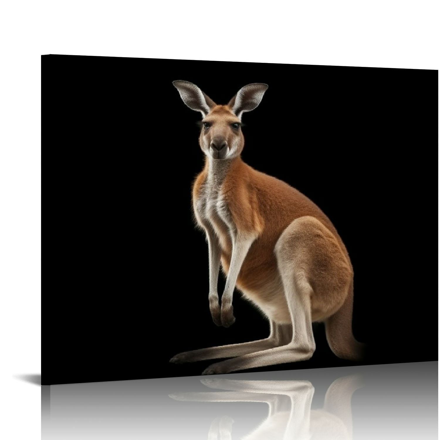 Nawypu Canvas Wall Art Kangaroo Posters Pictures Wall Decor Animal ...