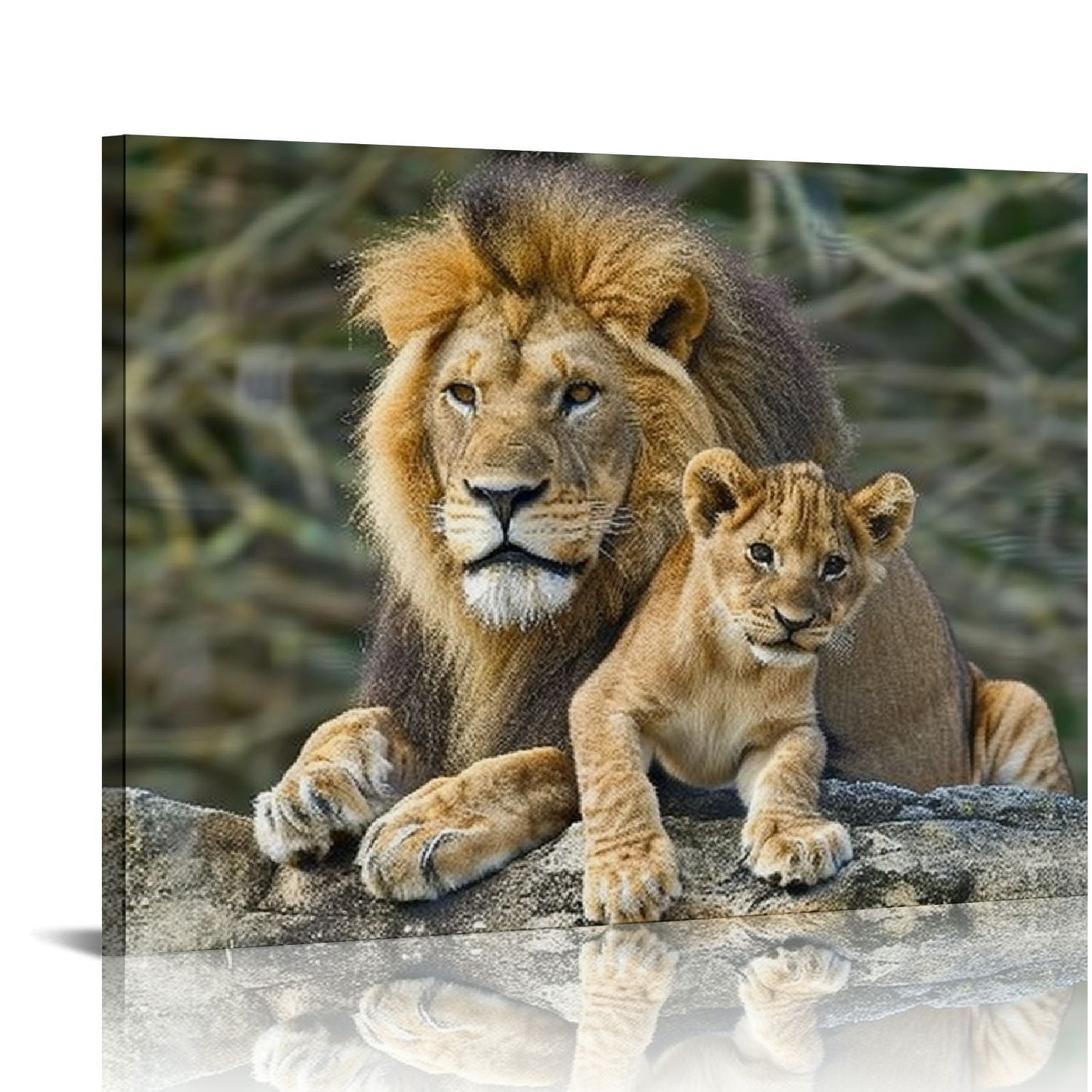 Nawypu Canvas Wall Art Lion And Cub Poster Animal Prints Pictures Wall ...