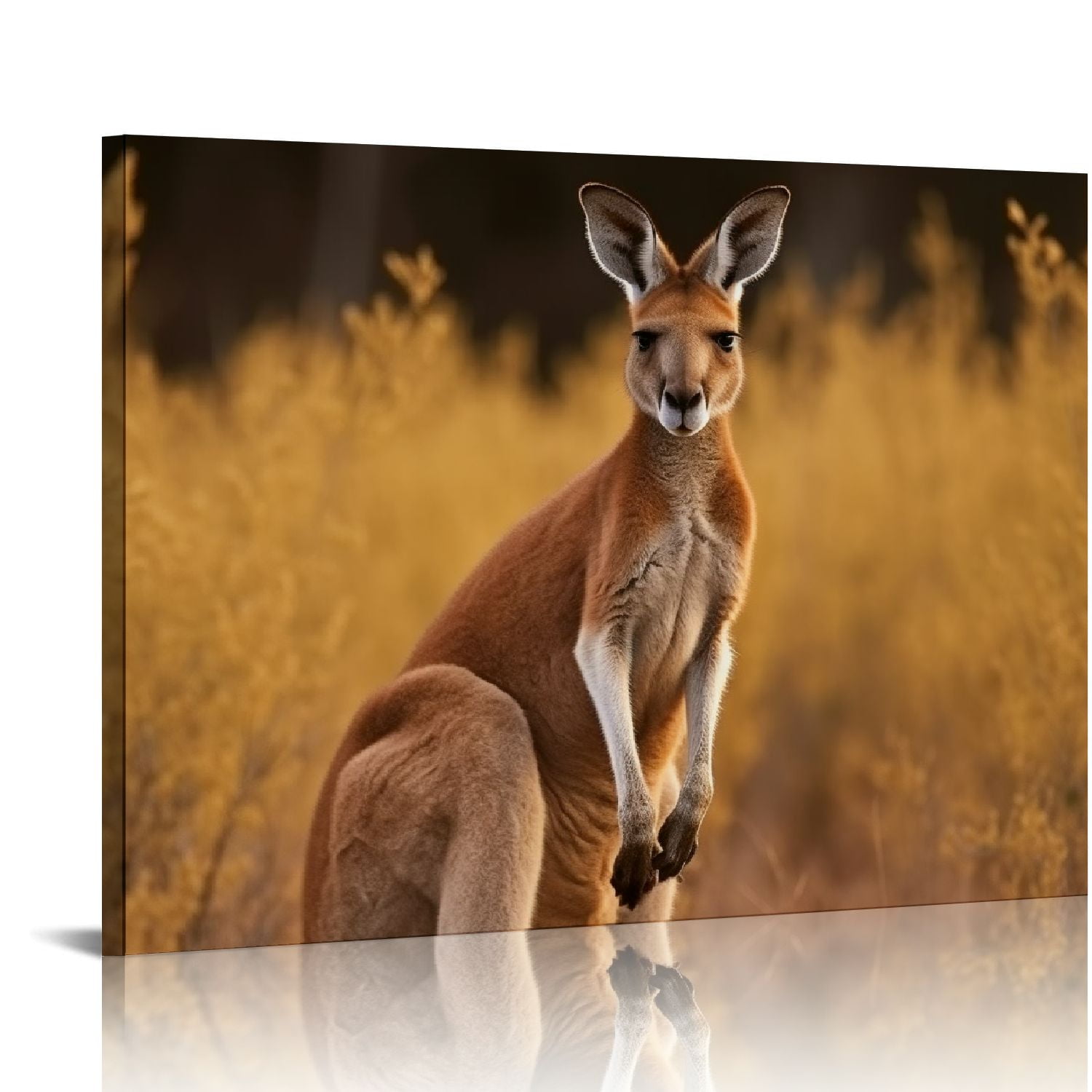 Nawypu Canvas Wall Art Living Room Kangaroo Poster Animal Pictures ...