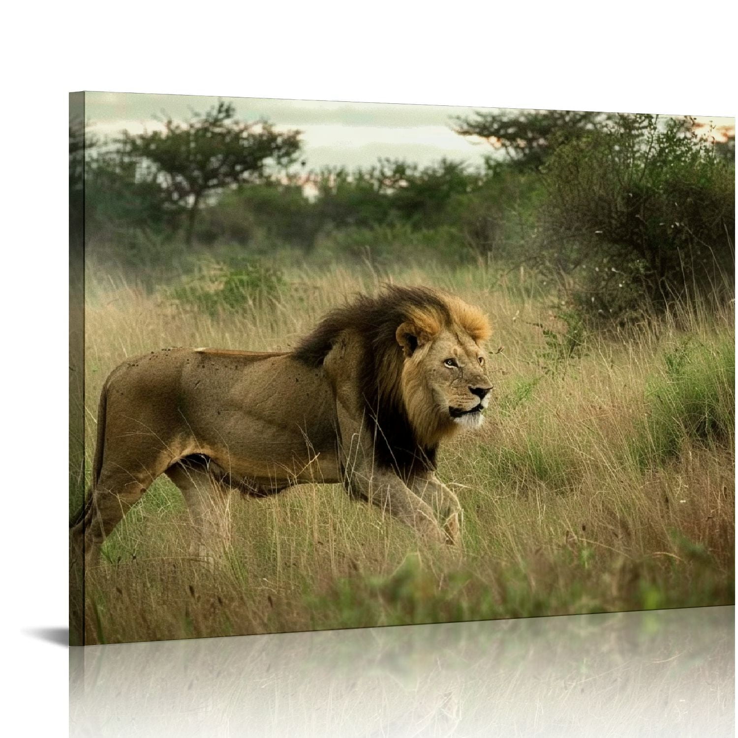 Nawypu Canvas Wall Art Living Room Lion Poster Animal Pictures Bedroom ...