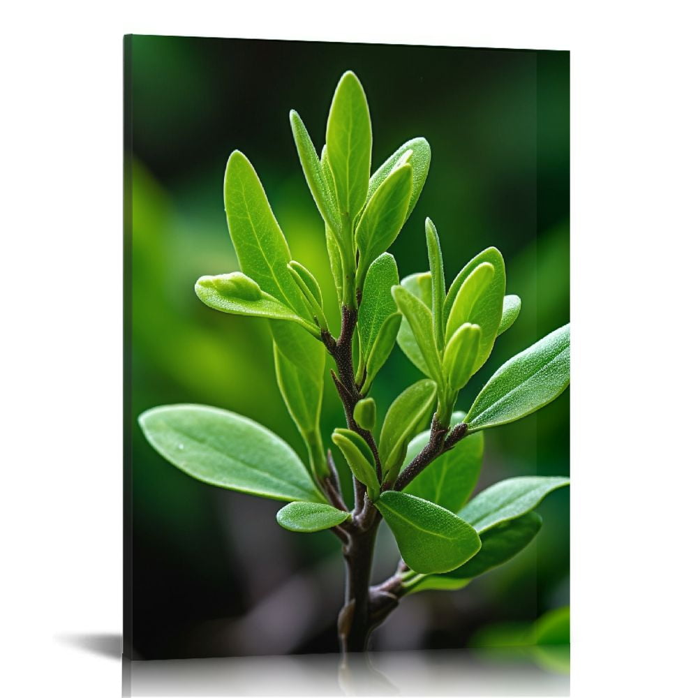 Nawypu Canvas Wall Art Marijuana Leaves Cannabis On Dark Wall Art ...