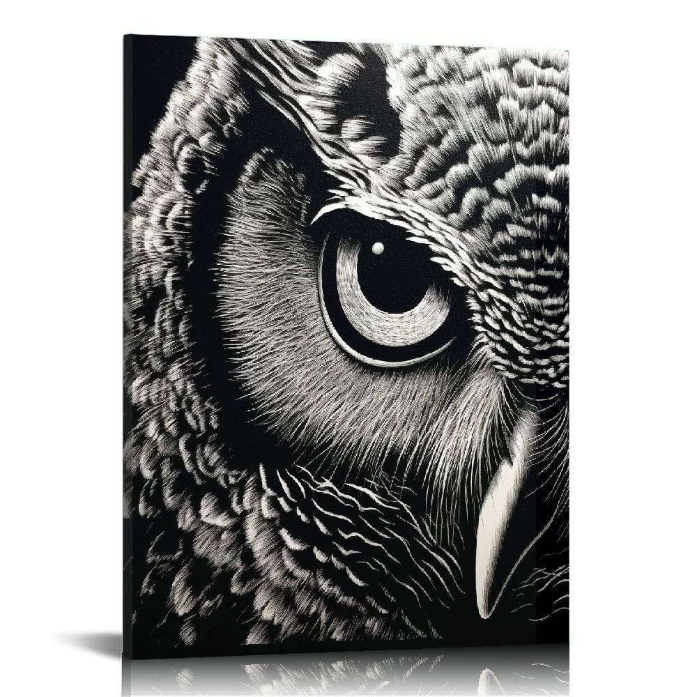 Nawypu Canvas Wall Art Owl Eyes Canvas Print Artwork Black And White ...