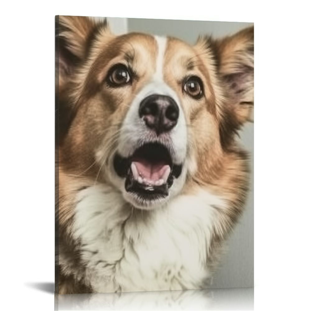 Nawypu Canvas Wall Art Ready to Hang scottish fold cat and corgi dog ...